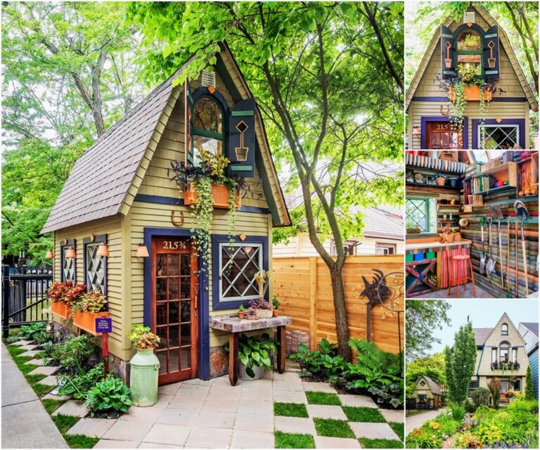 Tiny House | Trend House Designs