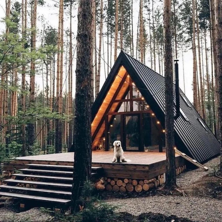 What is an A-Frame House and How is it Made? - Trend House Designs ...