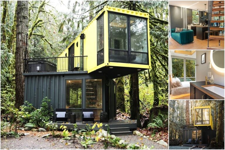 Private 40ft Container House Living Plan - Trend House Designs